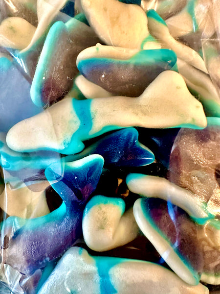 Gummy Sharks 🦈 8 oz – J.A. Morey Artisan Chocolate